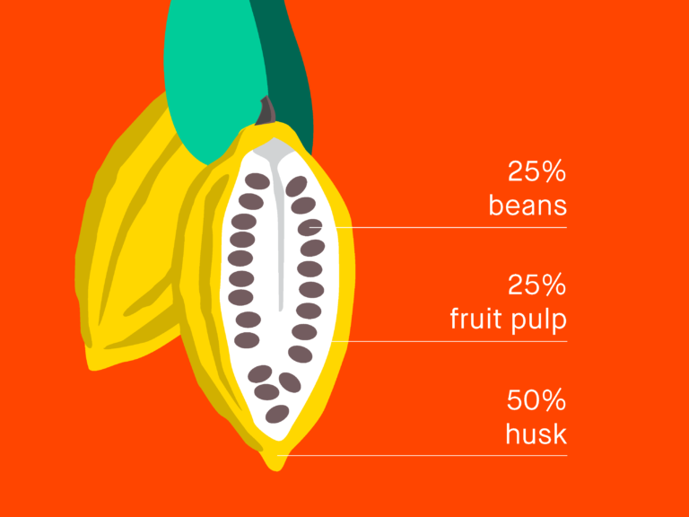 Products - Cocoa Fruit Juice, Concentrates, and Dried Pulps