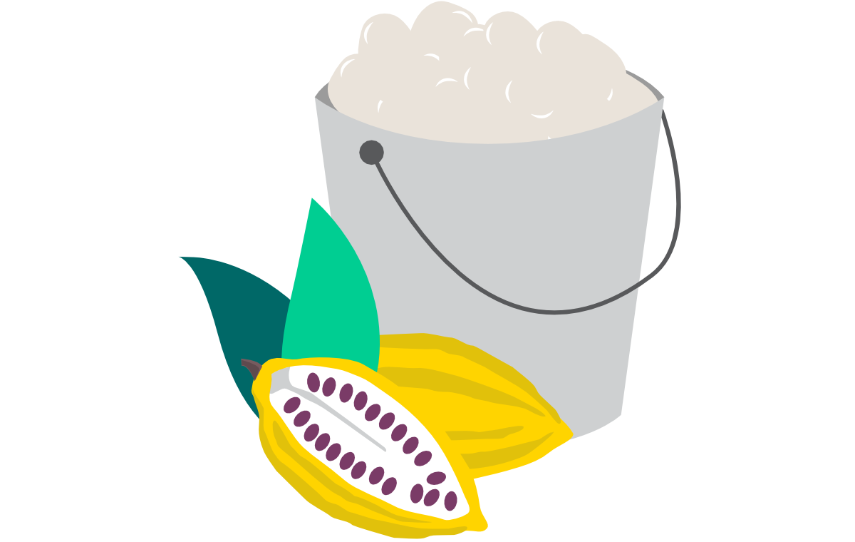 Radical Transparency - Koa